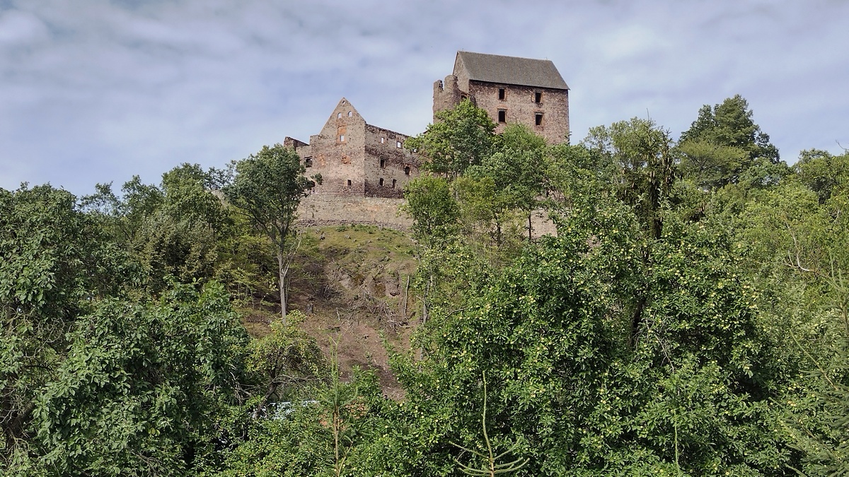 Zamek Świny - MYzwiedzaMY