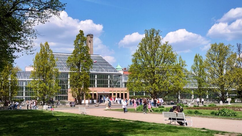 Park Wilsona w Poznaniu - MYzwiedzaMY